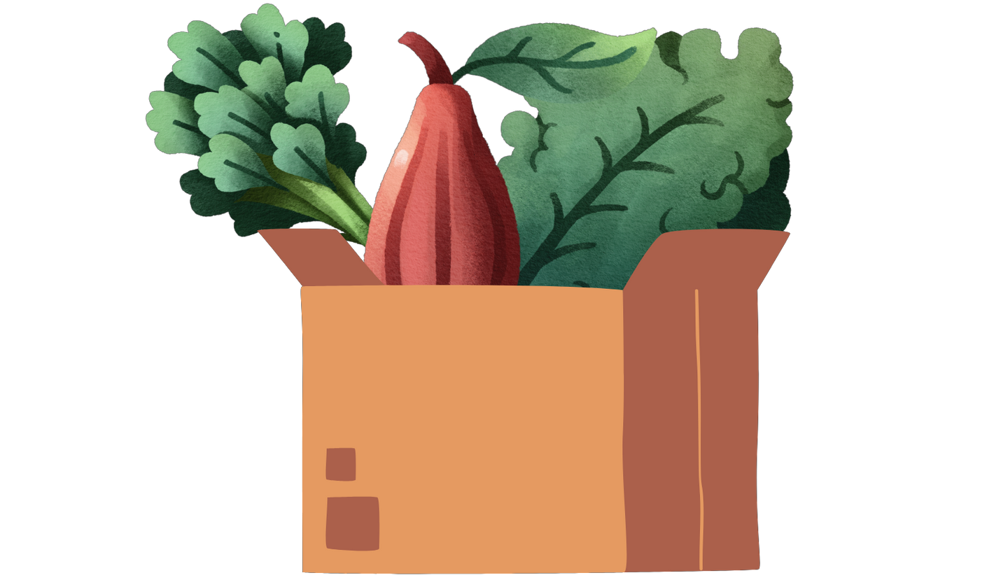 The Odd Bunch | Save up to 50% on your groceries!