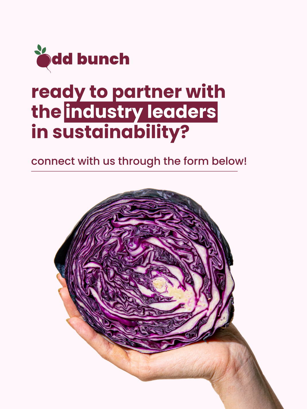 Our Team – Odd Bunch